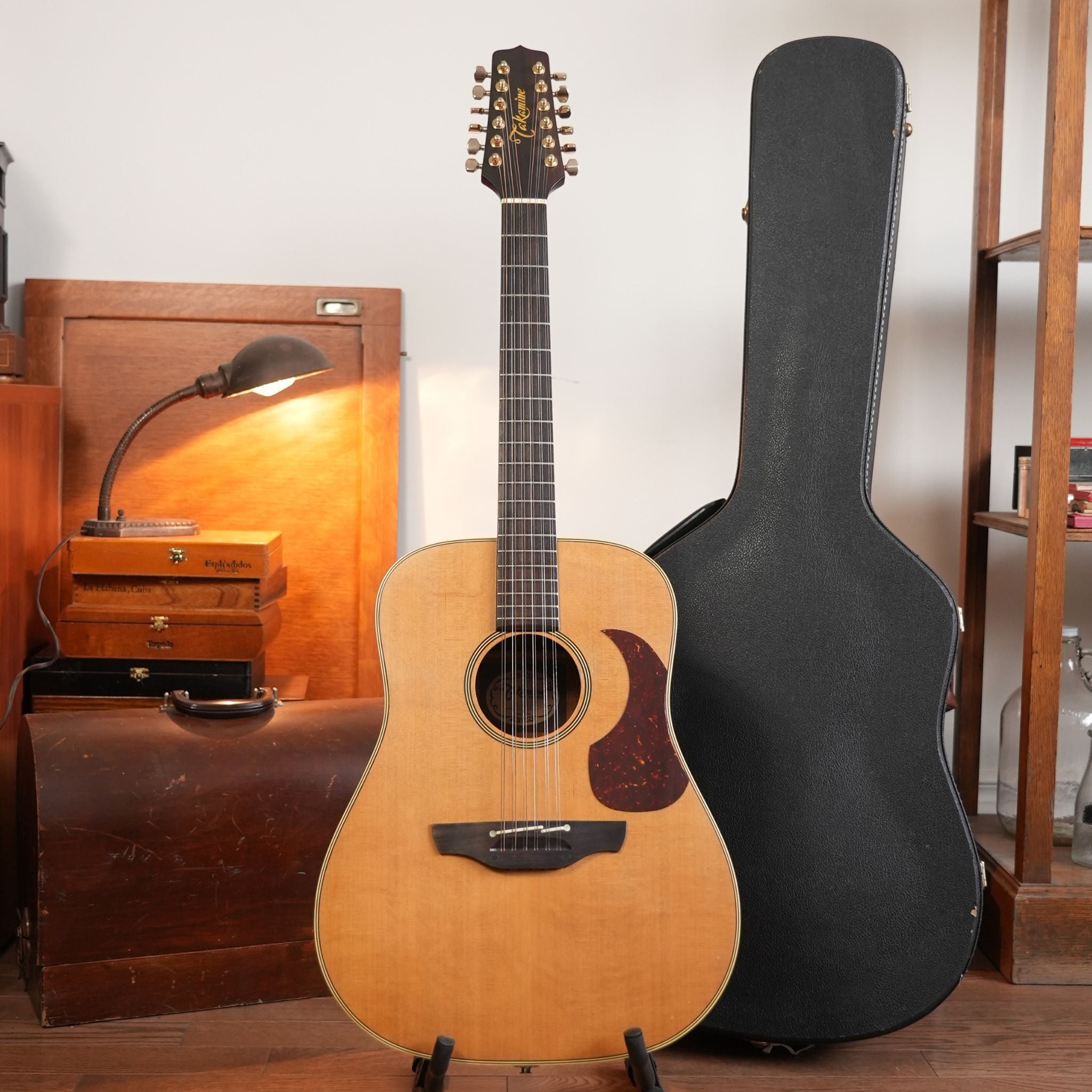 Takamine EN-10-12 – McTamney's